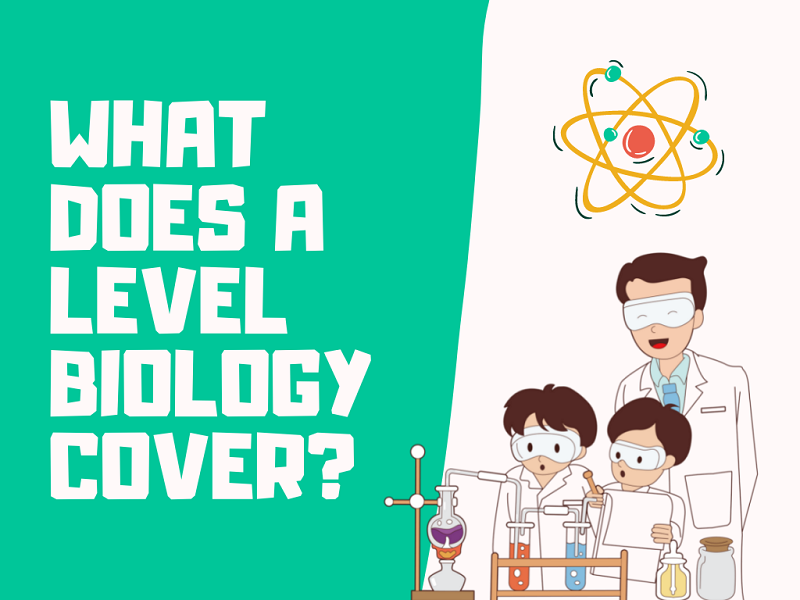 Biology 101: How To Pass Your A Level Biology Class