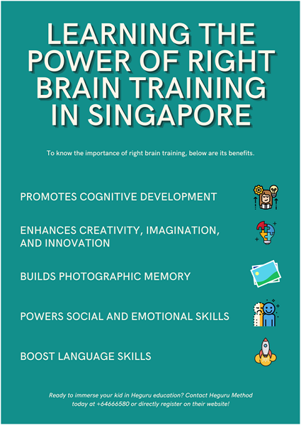 Learning The Power Of Right Brain Training In Singapore